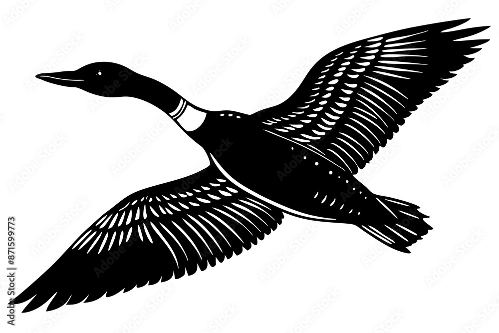 flying loon black silhouette vector illustration Stock Vector | Adobe Stock