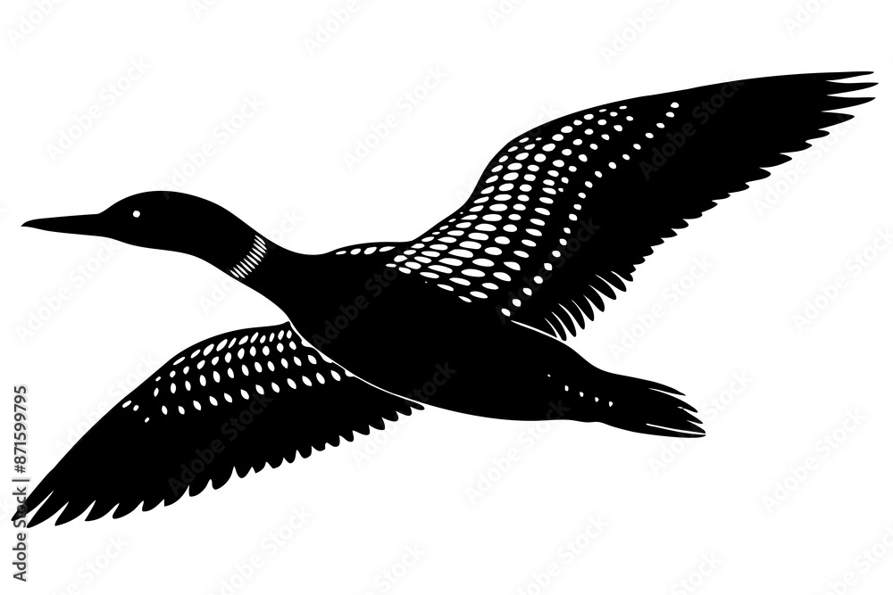 flying loon black silhouette vector illustration Stock Vector | Adobe Stock