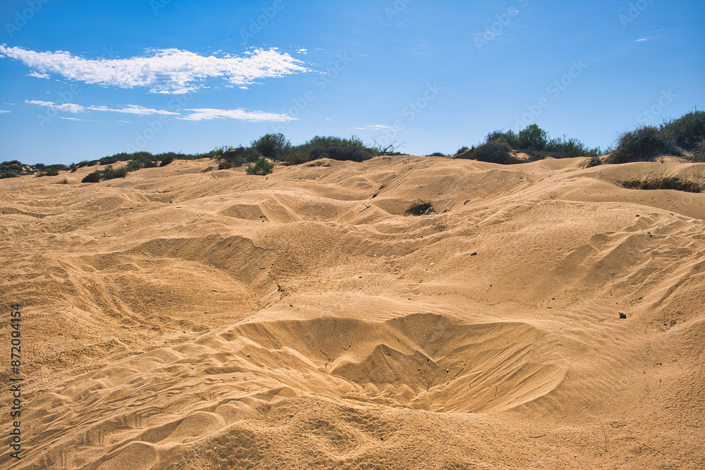 Dozens of pits in the beach and the dunes, dug by sea turtles that laid ...
