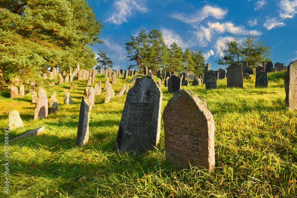 Cemetery with graves and tombstones. Abandoned grave. Gravestone on ...