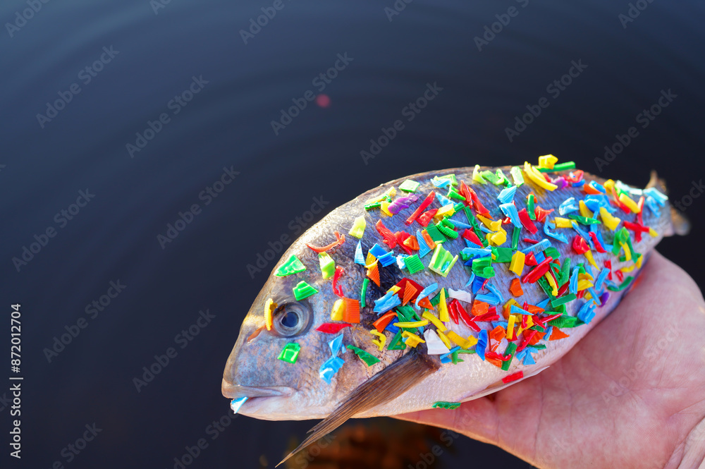 Microplastics in Fish. Dead fish in sea, eats plastic waste. Ocean ...