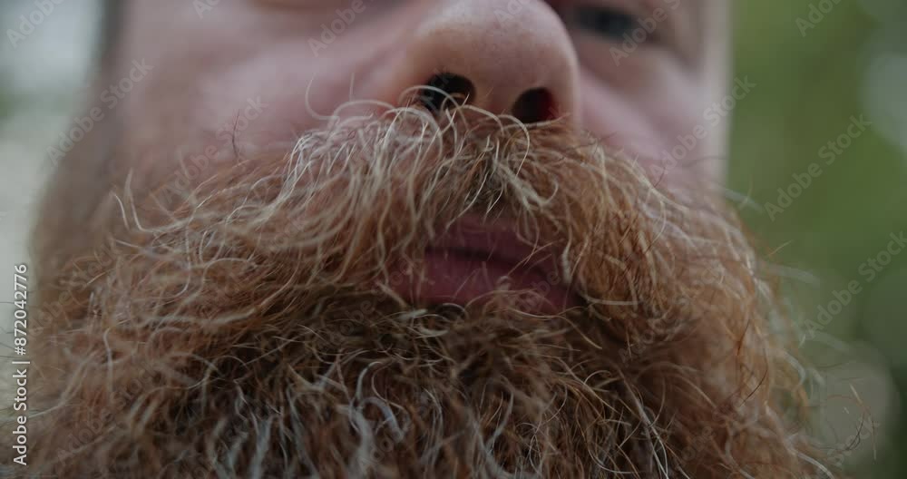 Close-up video shot of a man touching his beard and mustache in an ...