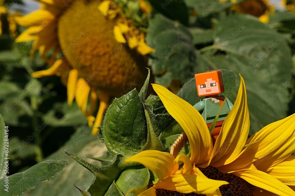 LEGO Minecraft small figure of female character Alex with golden sword ...