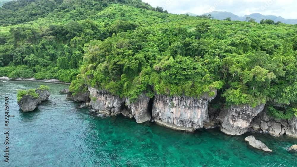 An idyllic island, Pulau Wetar, is surrounded by a biodiverse coral ...