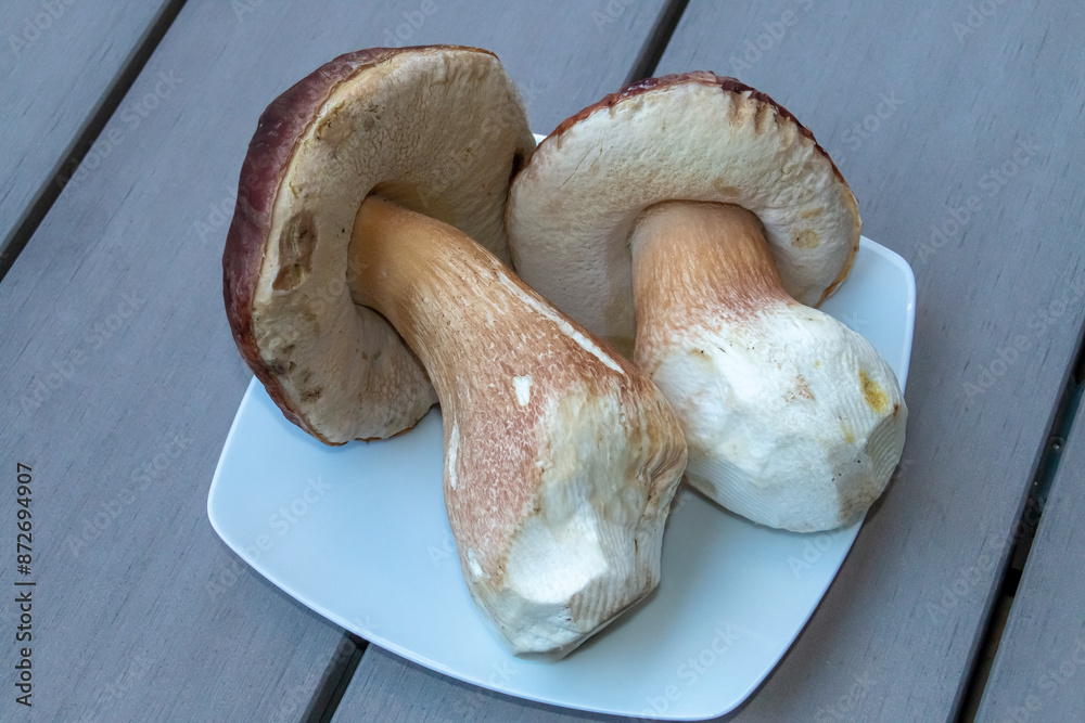 Plato de Boletus frescos y limpios listos para ser cocinados. Dos ...