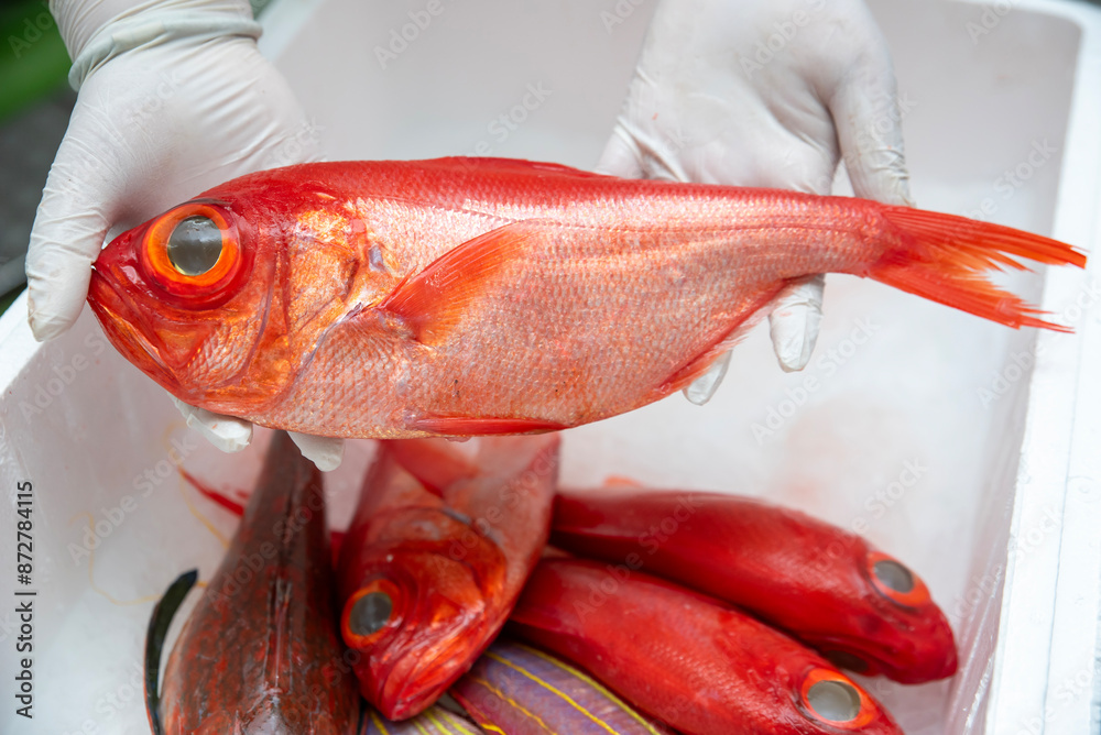 Kinmedai fish Red color in Fresh market Japan Ready to eat Stock Photo ...