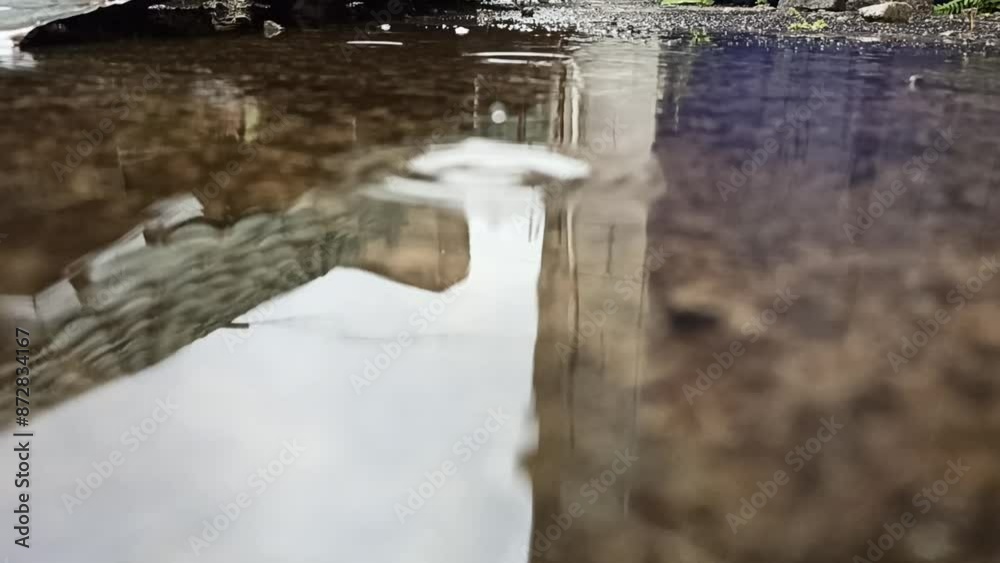 Team capturing the serene beauty of raindrops in puddles, evoking ...