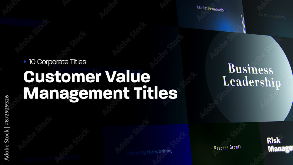 Customer Value Management Titles | 10 Motion Titles with Control Panels ...
