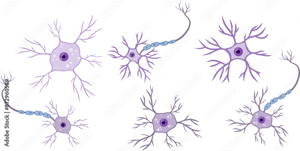 Brain neuron symbol. Neural cell - medical body health. Physiology ...