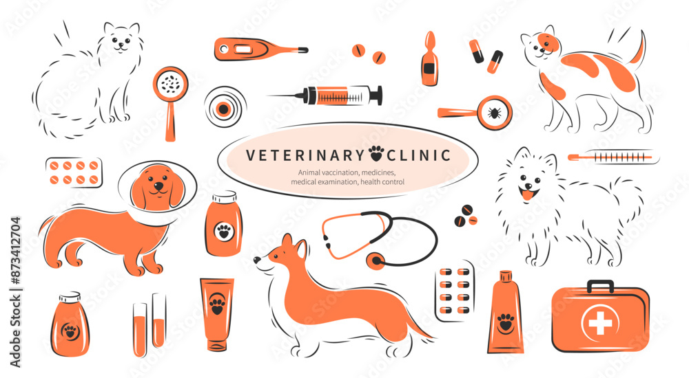 Big set of tools for veterinary hospital. Veterinarian clinic. Animal ...