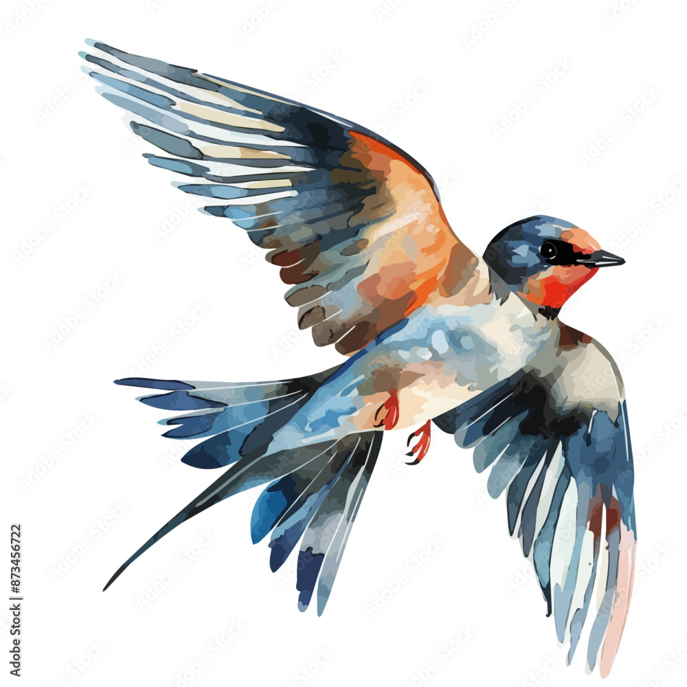 Watercolor painting of a colorful swallow, isolated on a white ...
