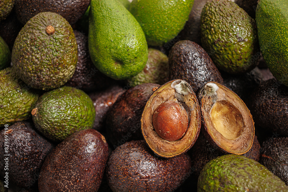 Chilean Hass Paltas, close-up view showing a Hass palta alongside a ...