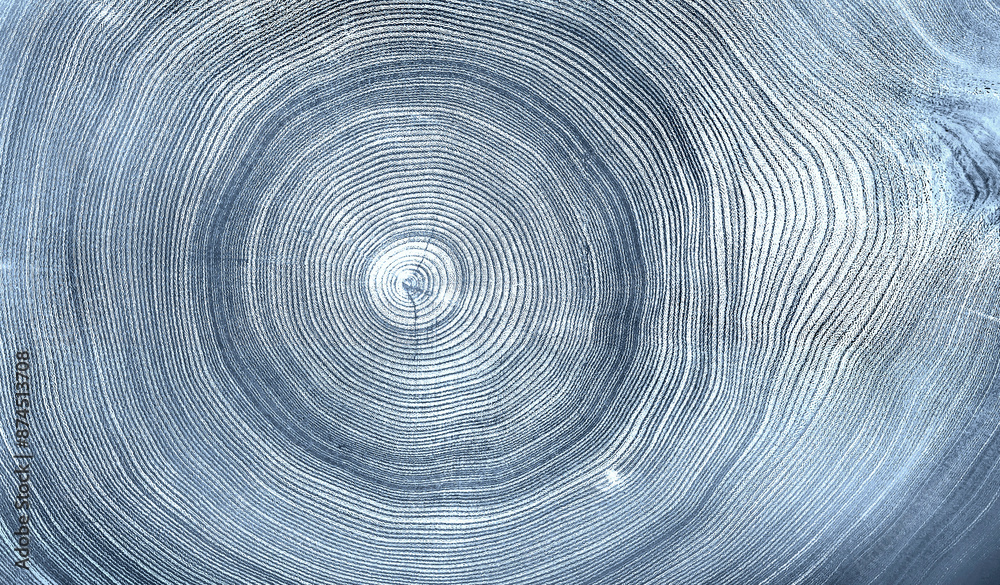 Tree rings background detailed pattern of end grain wood slab, Wood cut ...