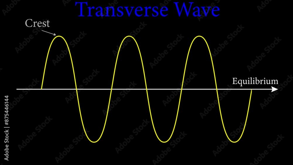 Video of transverse wave presentation . Crest, trough, wavelength and amplitude Stock Video ...