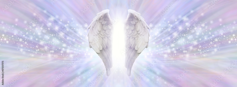 Shimmering Angel Wings Header - pair of beautiful feathered wings ...