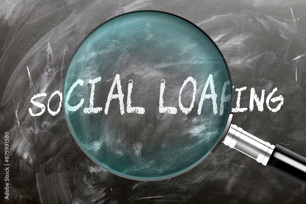 Social Loafing Examples