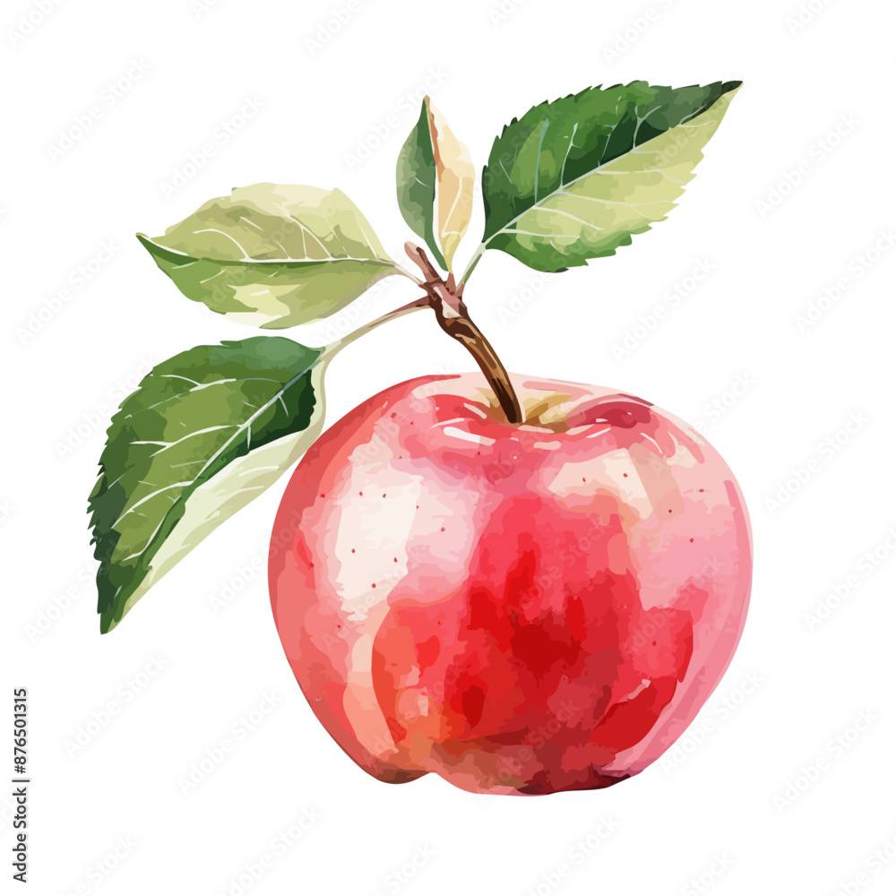 Watercolor clipart vector of a red apple, isolated on a white ...