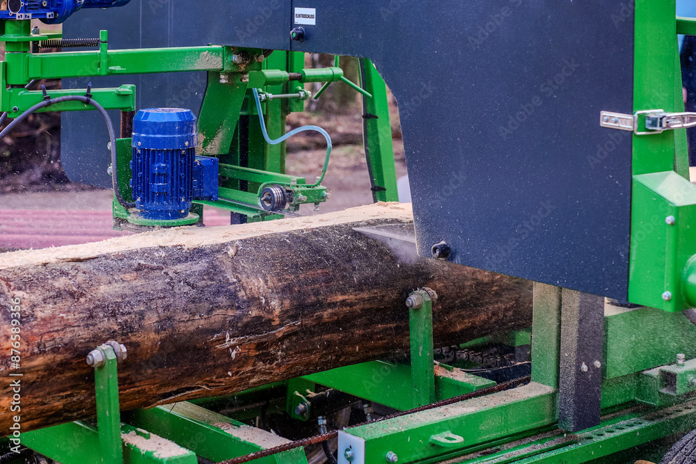 Process of processing wooden boards at sawmill. Timber industry. Pine ...