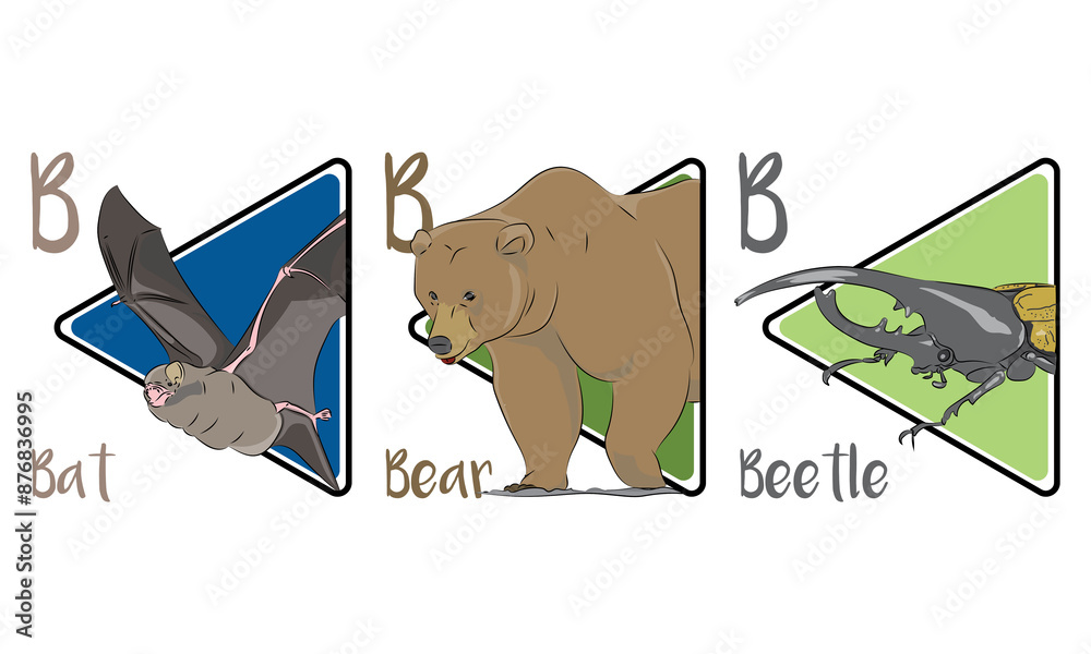 3 animals that start with the letter B, Bat, Bear, and Beetle. All ...