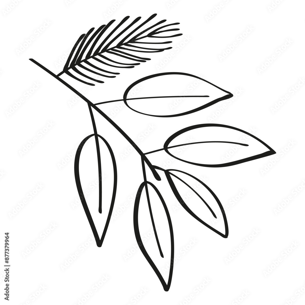 Autumn summer twig plant sprout with leaves and seeds tassel drawn with ...