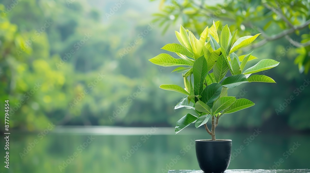 Vibrant scenery supporting eco-friendly practices and species diversity ...