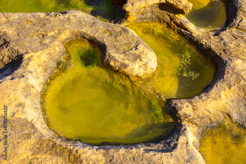 Small shallow pools of water on a rocky surface. Water is a murky green ...