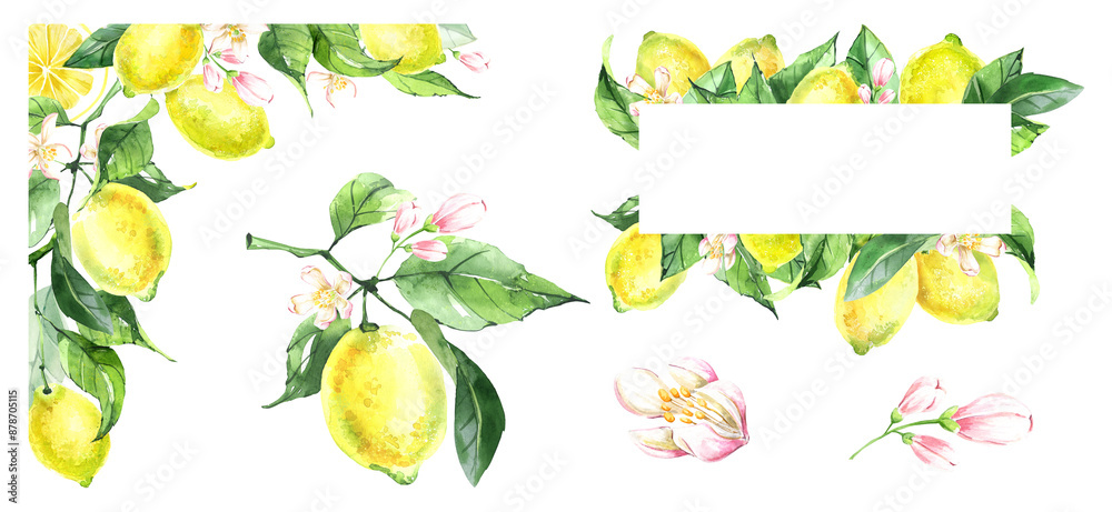Watercolor yellow lemon fruits, leaves, and flowers. lemon frame ...