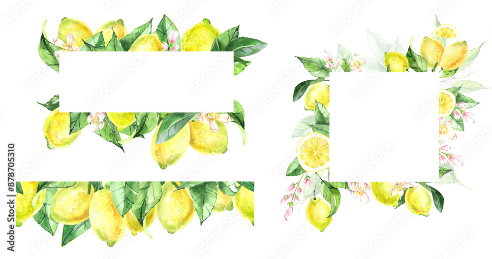 Watercolor yellow lemon fruits, leaves, and flowers. lemon frame ...