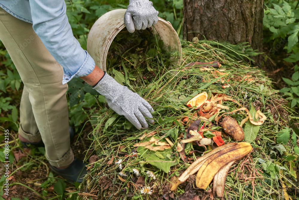 Zero waste, compost. Compost heap pile with bio waste. Farmer hands put ...
