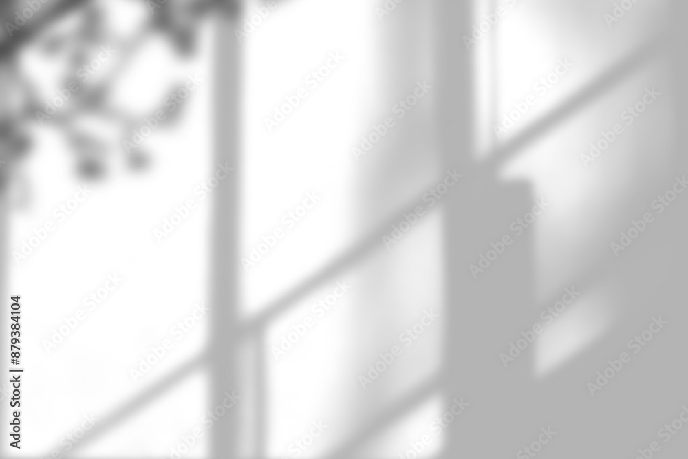 Plant shadow png, Botanical shadow in transparent background, design ...