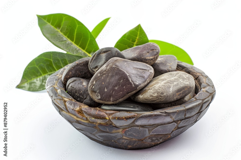 bilva patra holy plant used in worship of Hindu god Shiva and ...