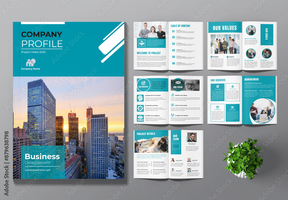 Company Profile Layout Stock Template | Adobe Stock