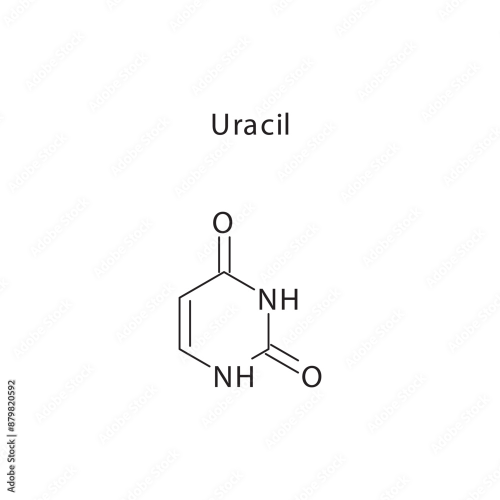 Uracil skeletal structure schematic illustration, Pyrimidine nucleobase molecule. Stock Vector ...