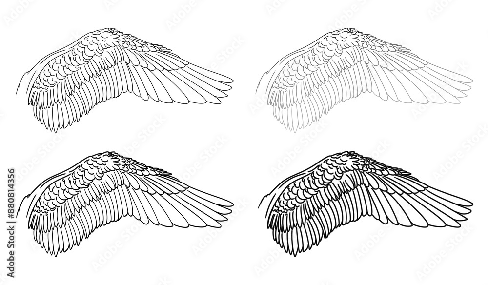 ภาพประกอบสต็อก Png Linear outline drawing angel wings hand drawn clip ...