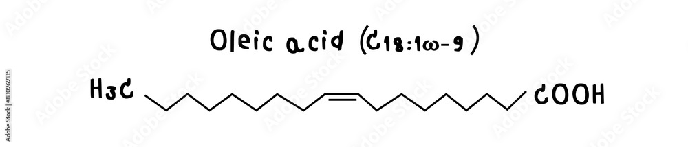 molecular structure of fatty acid oleic acid illustration Stock ...