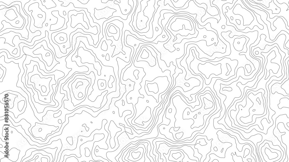 Topographic map background geographic line map with elevation ...
