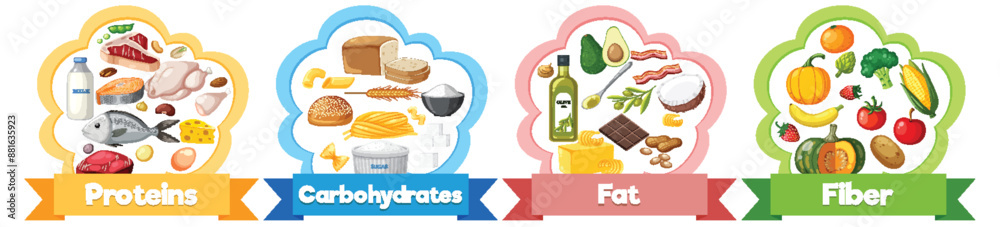 Visual representation of proteins, carbohydrates, fats, and fiber Stock ...