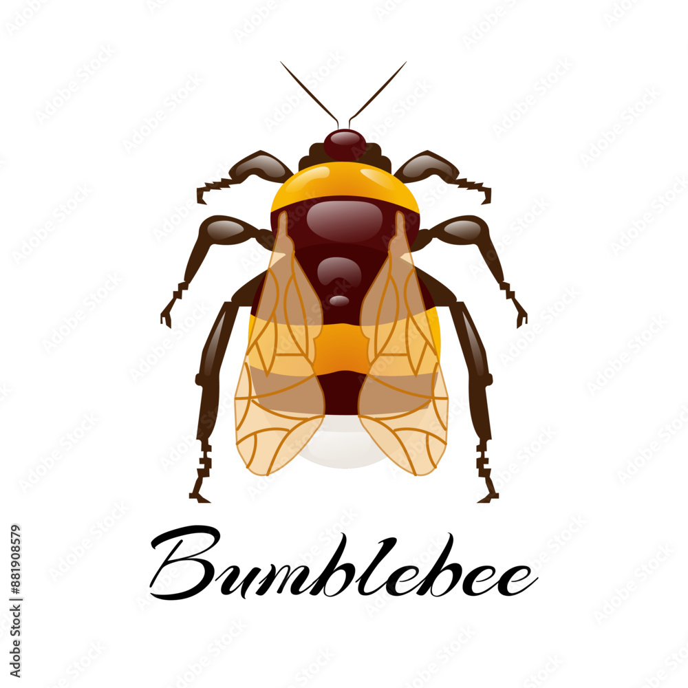 Realistic bumblebee design on a white background. Isolated design. 3d ...