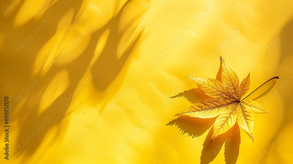 Pure yellow background, a broad scene with a distinct sense of breadth ...