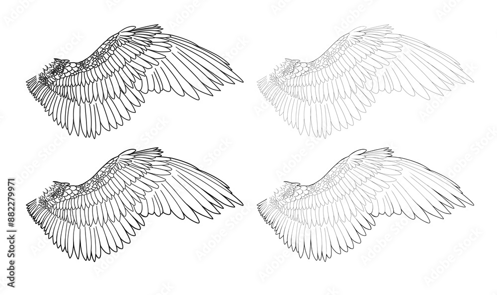 Linear outline drawing angel wings hand drawn clip art element pegasus ...