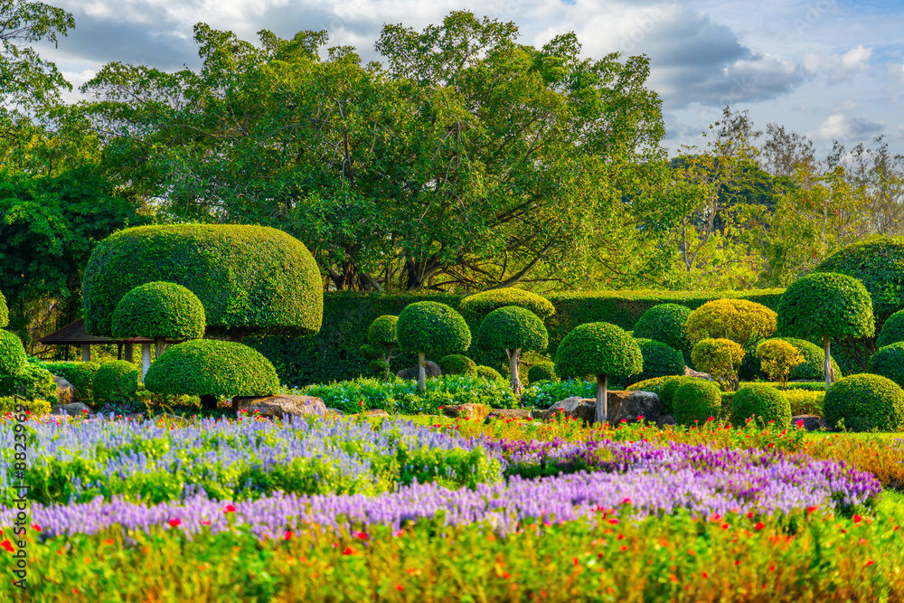 English garden trees bushes trimmed in geometric correct shapes ...