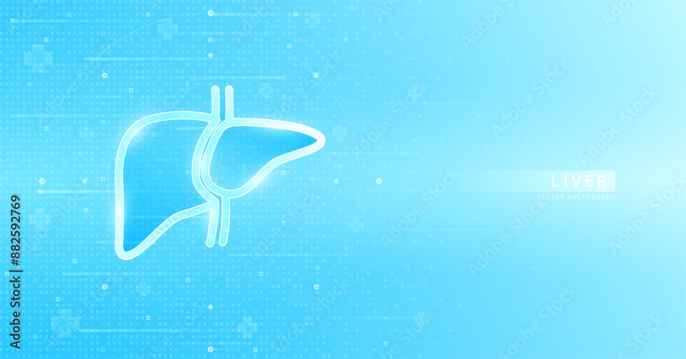 Human liver outline glowing on blue background futuristic. Used for ...