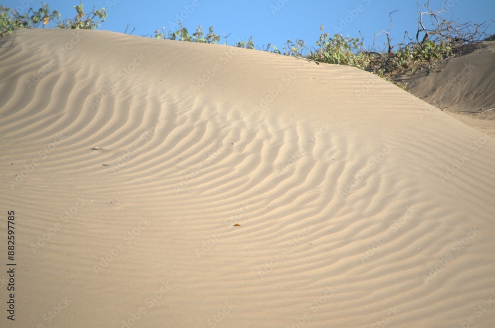 Los medanos de Coro son dunas de arena que movidas por los fuertes ...