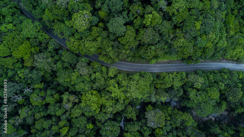 Aerial view asphalt road in green forest tree, Asphalt road through ...