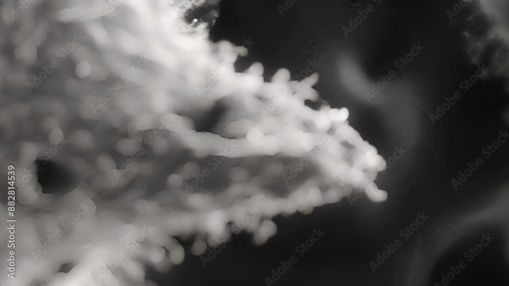 An electron micrograph of a cell with dilated ER cisternae and ...