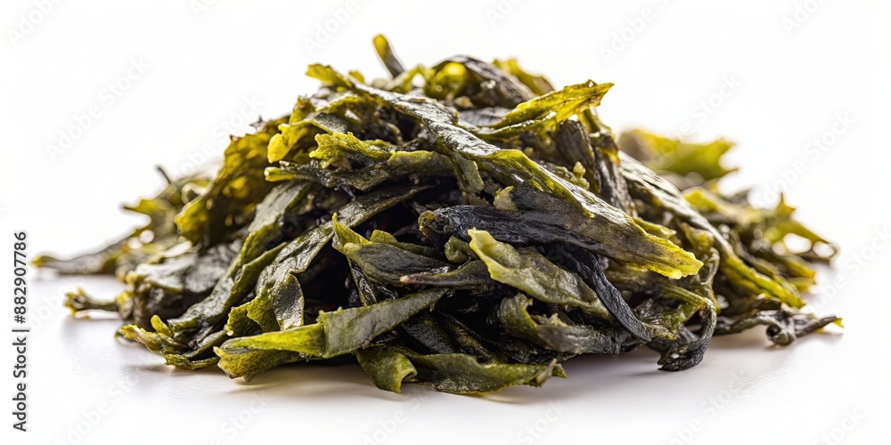 Close-up photo of a dried seaweed sample on a white background, seaweed ...