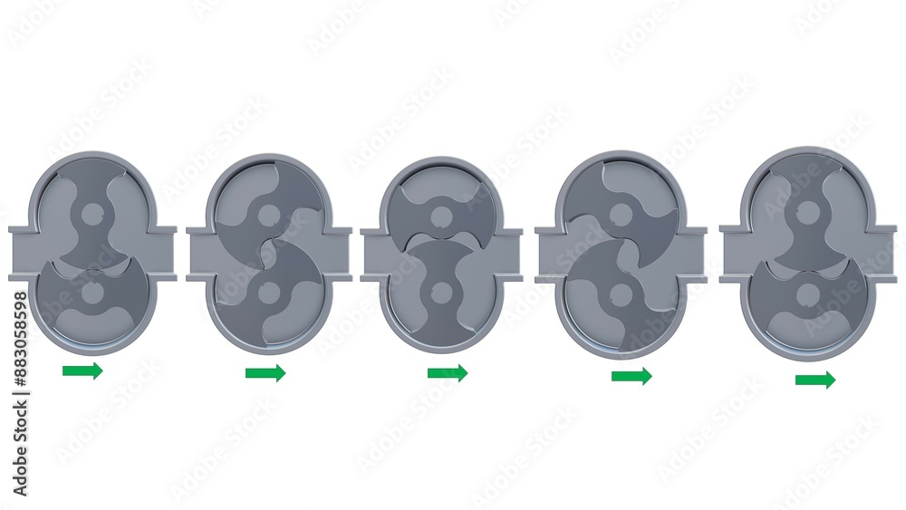 Rotary lobe pump vane dynamics; Bi-wing rotor working principle Stock ...