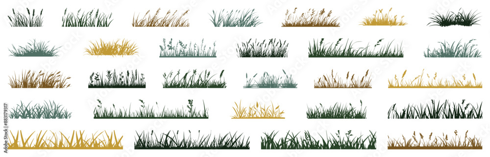 Silhouette grass with spikelet collection. Set of hand drawn beach ...