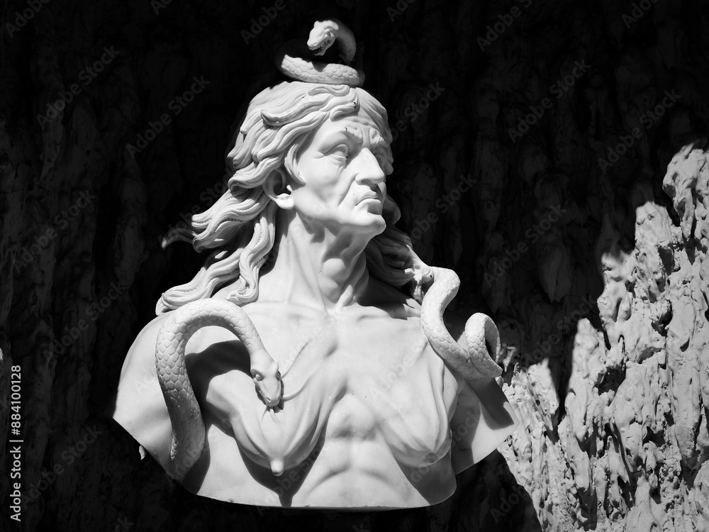 Grayscale of a classical statue depicting "The Envy" with snakes in ...