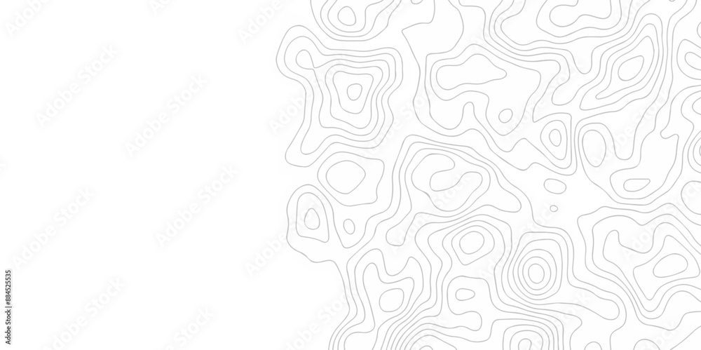 Vector white wave line geography landscape Topo contour map on white ...